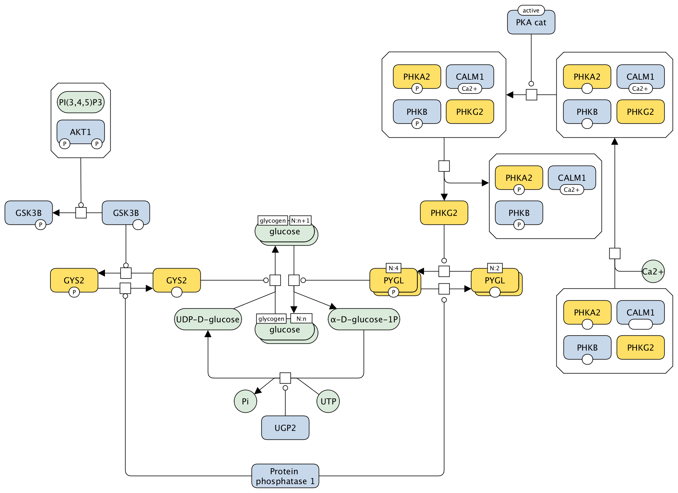 Regulation Of Glycogen Metabolism Muscle Metabolism Regulation Connecting Signalling And