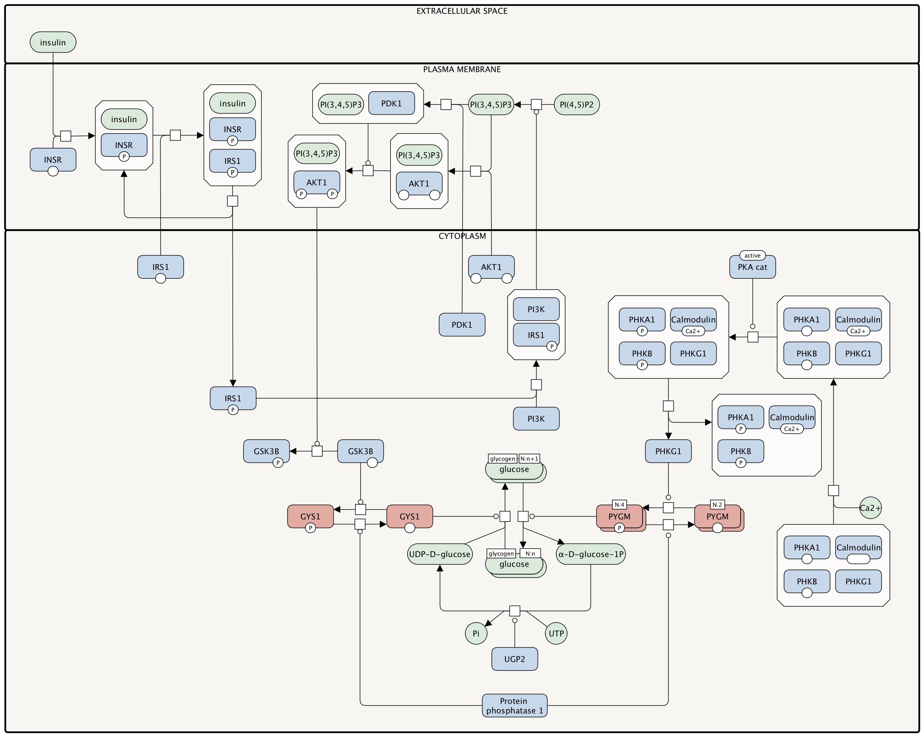 Maps – Metabolism Regulation – Connecting signalling and metabolic networks